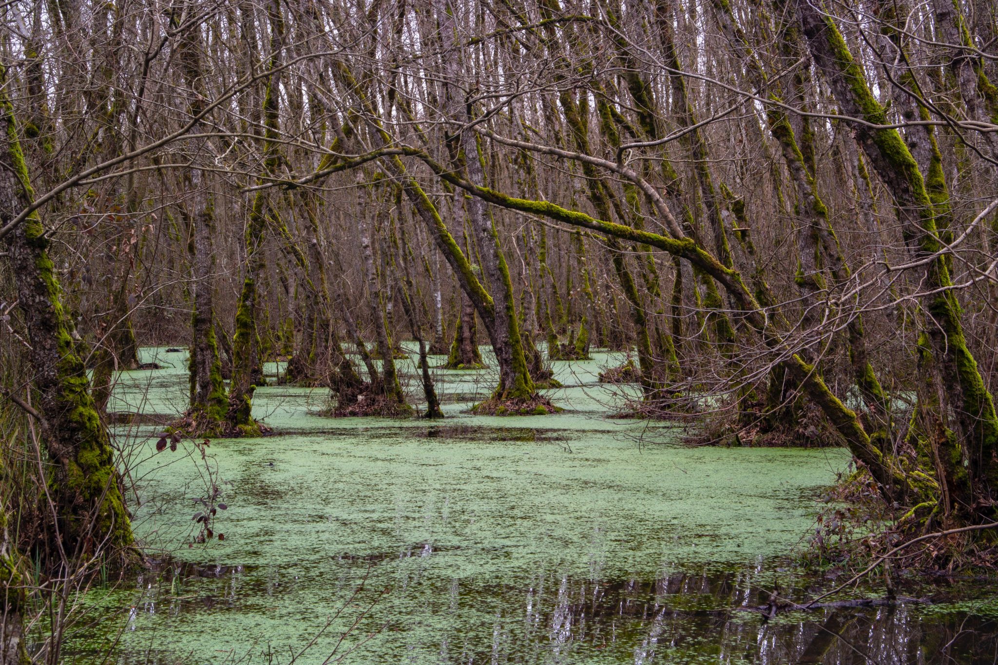 Land, Forestry & Environment - RuniOne - Reliable Rugged Hardware